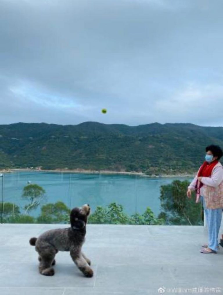 [Celebrity Homes] A Glimpse Inside William Chan’s Spacious Home ...