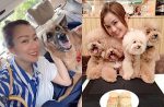 Sammi Cheng and Charlene Choi Bond Over Shared Love for Dogs ...