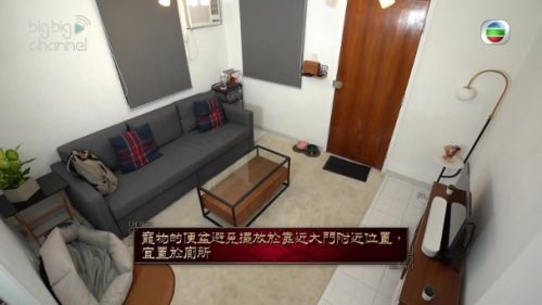 A Peek Inside Lisa Tse’s Bedroom – JayneStars.com